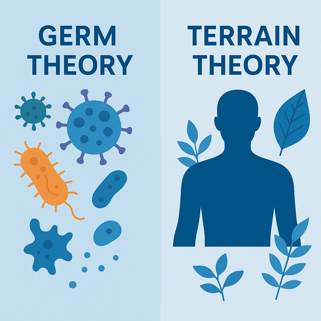 Terrain Theory vs. Germ Theory: Key Differences Explained | Aiello ...